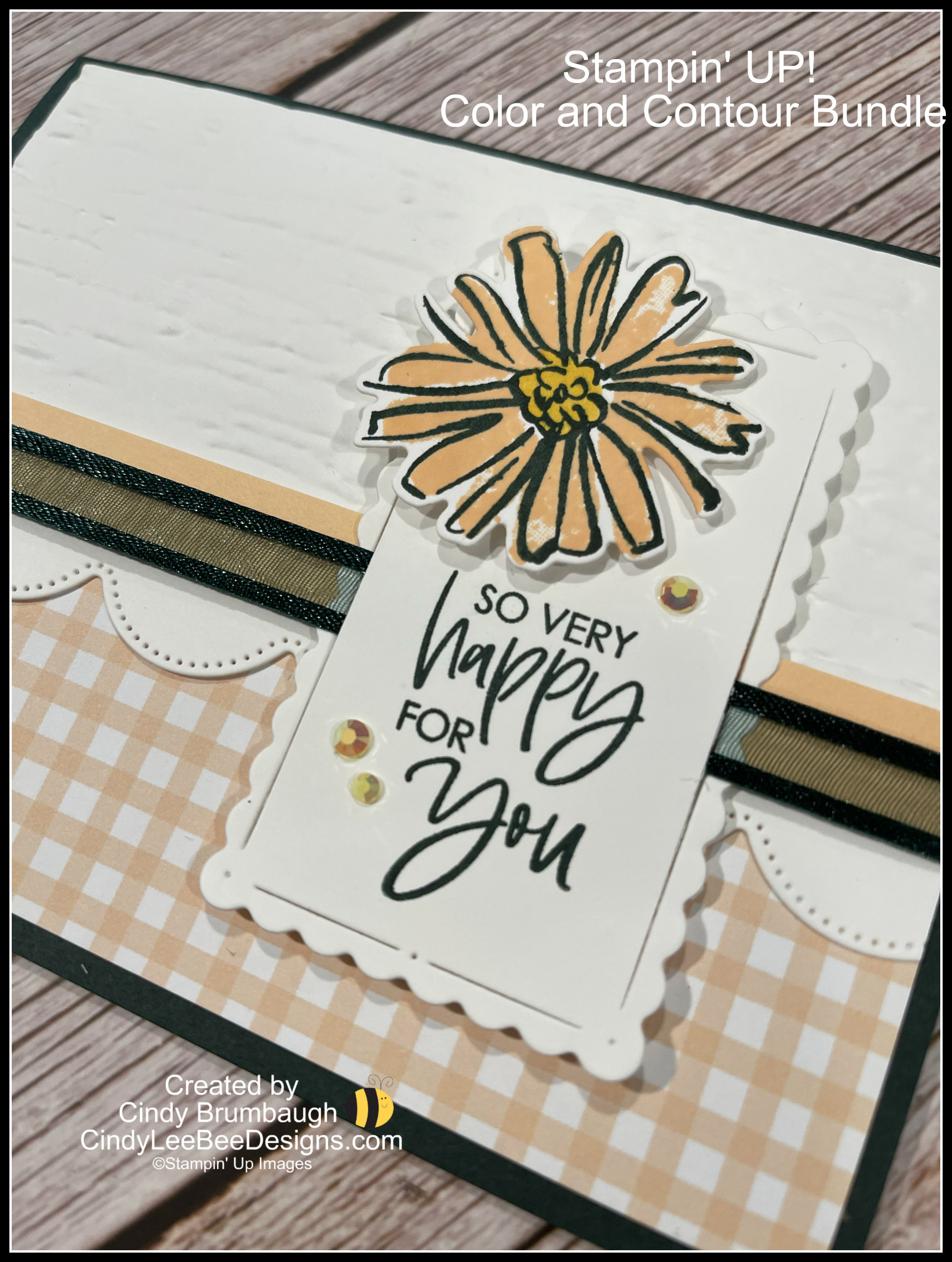 TIPS for the Stampin’ UP! Color and Contour Bundle | Cindy Lee Bee Designs