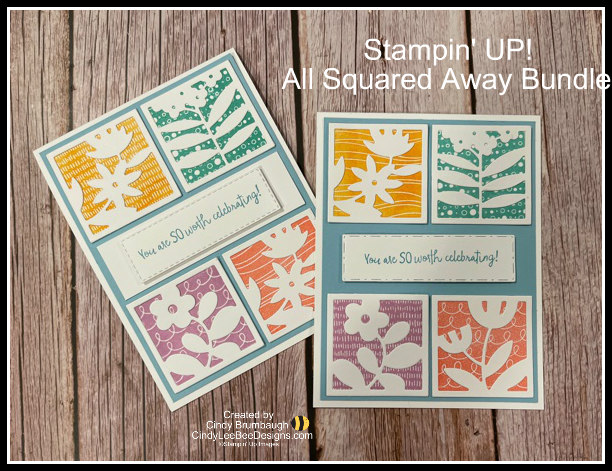 su-all-squared-away-both-best | Cindy Lee Bee Designs