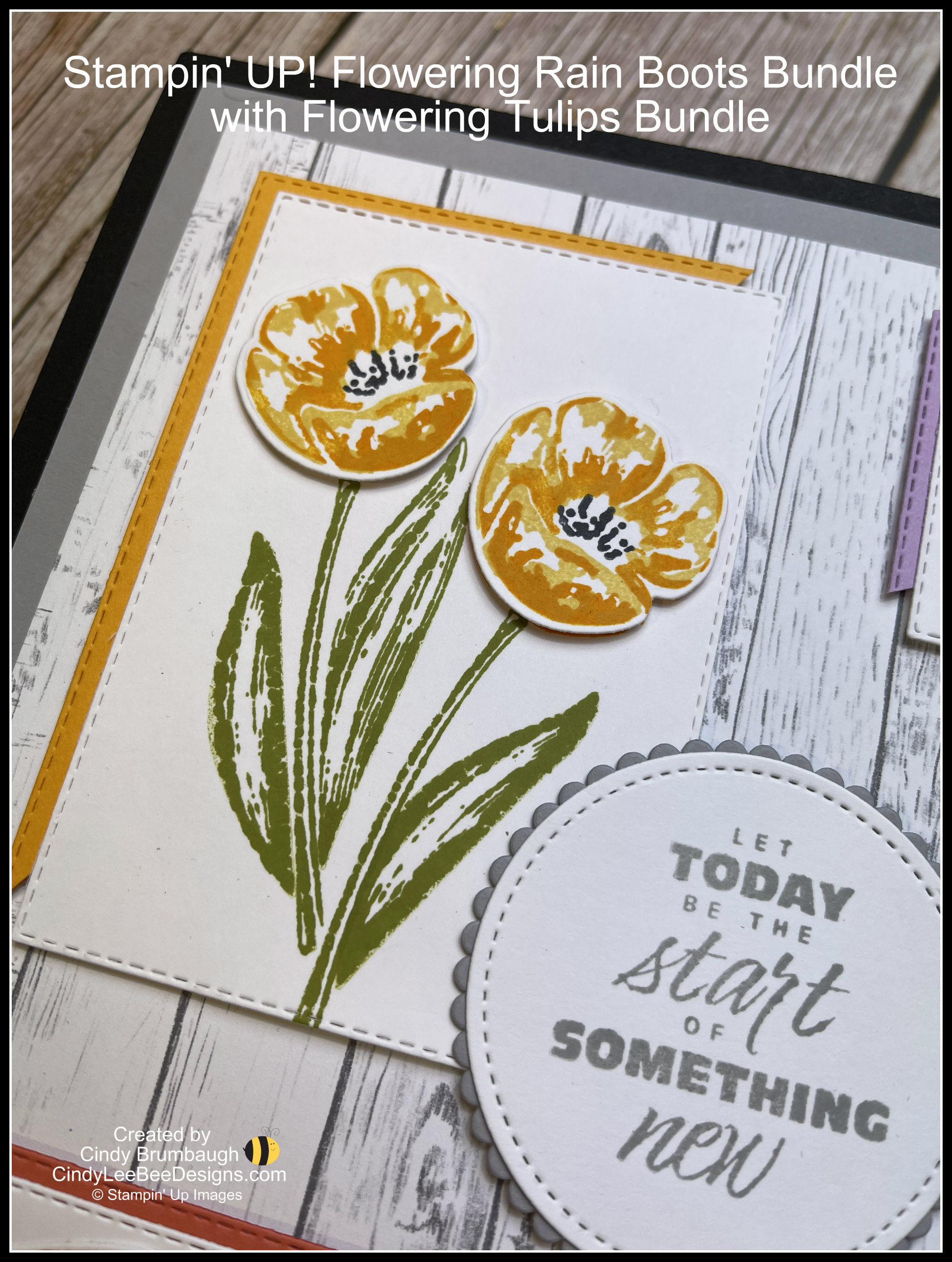 su-flowering-tulips-on-sampler | Cindy Lee Bee Designs