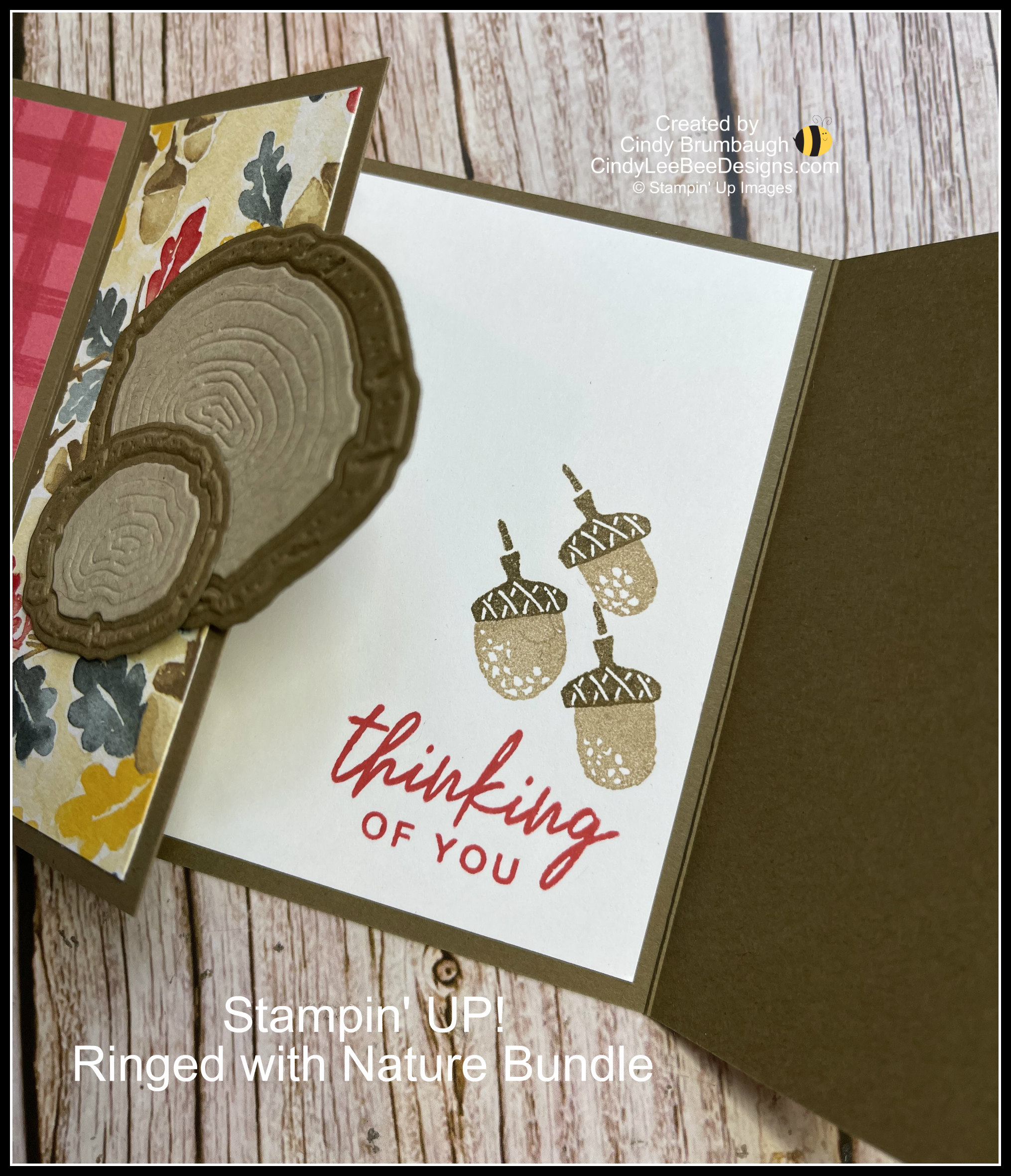 Stampin’ UP! Ringed with Nature Bundle Book Binding Gatefold Card Video ...