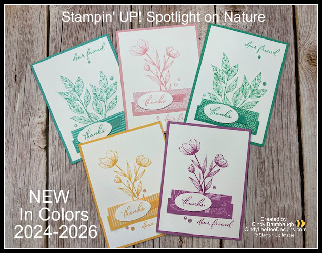 The Stampin’ UP! In Colors 2024-2026! | Cindy Lee Bee Designs